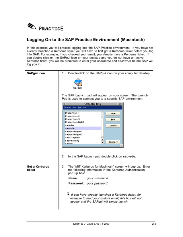 Sap terminology | PDF