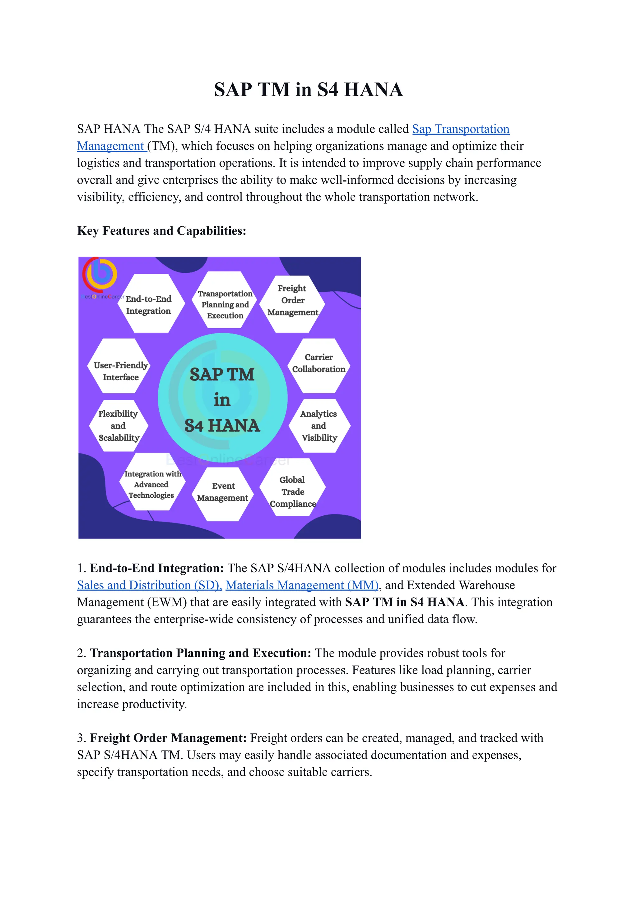 SAP TM ( Sap Transportation Management ) in S4 HANA | PDF | Logistics ...