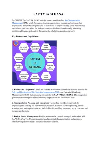 SAP TM ( Sap Transportation Management ) in S4 HANA | PDF