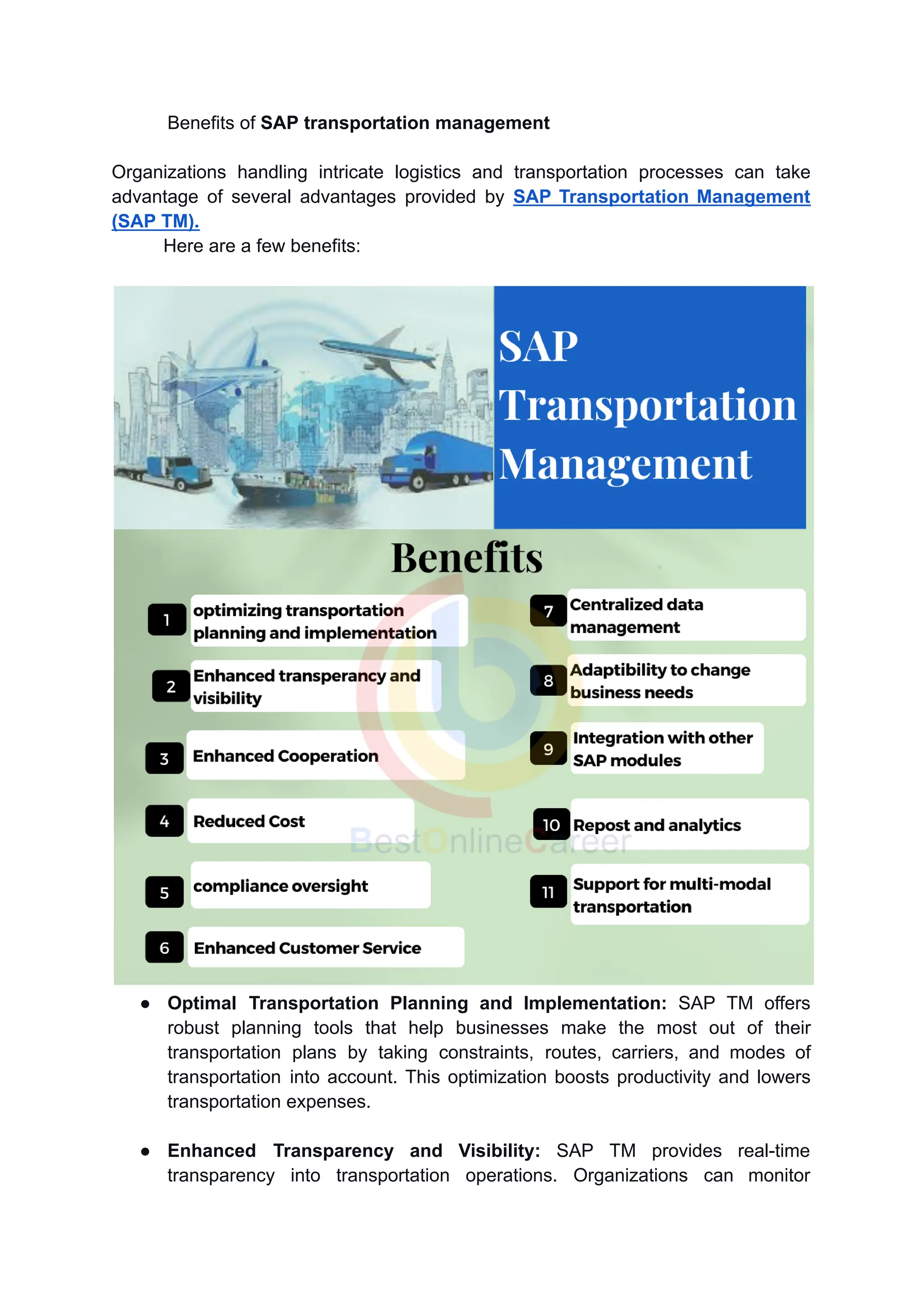 Sap transportation management benefits | PDF