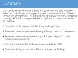 Sap Tips and Tricks Training for End user | PPTX