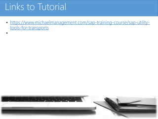Sap Tips and Tricks Training for End user | PPTX