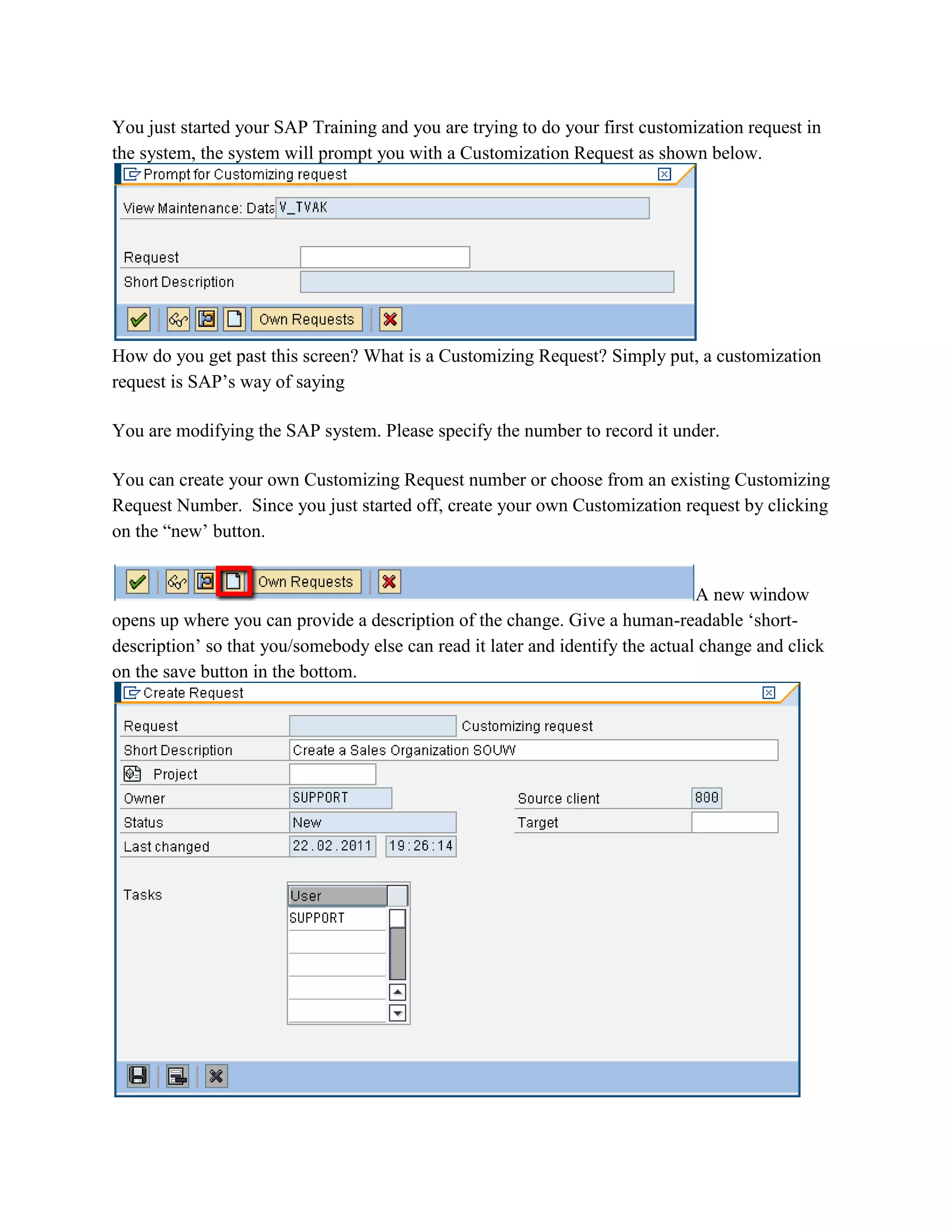 Sap tranport,customization request | DOCX