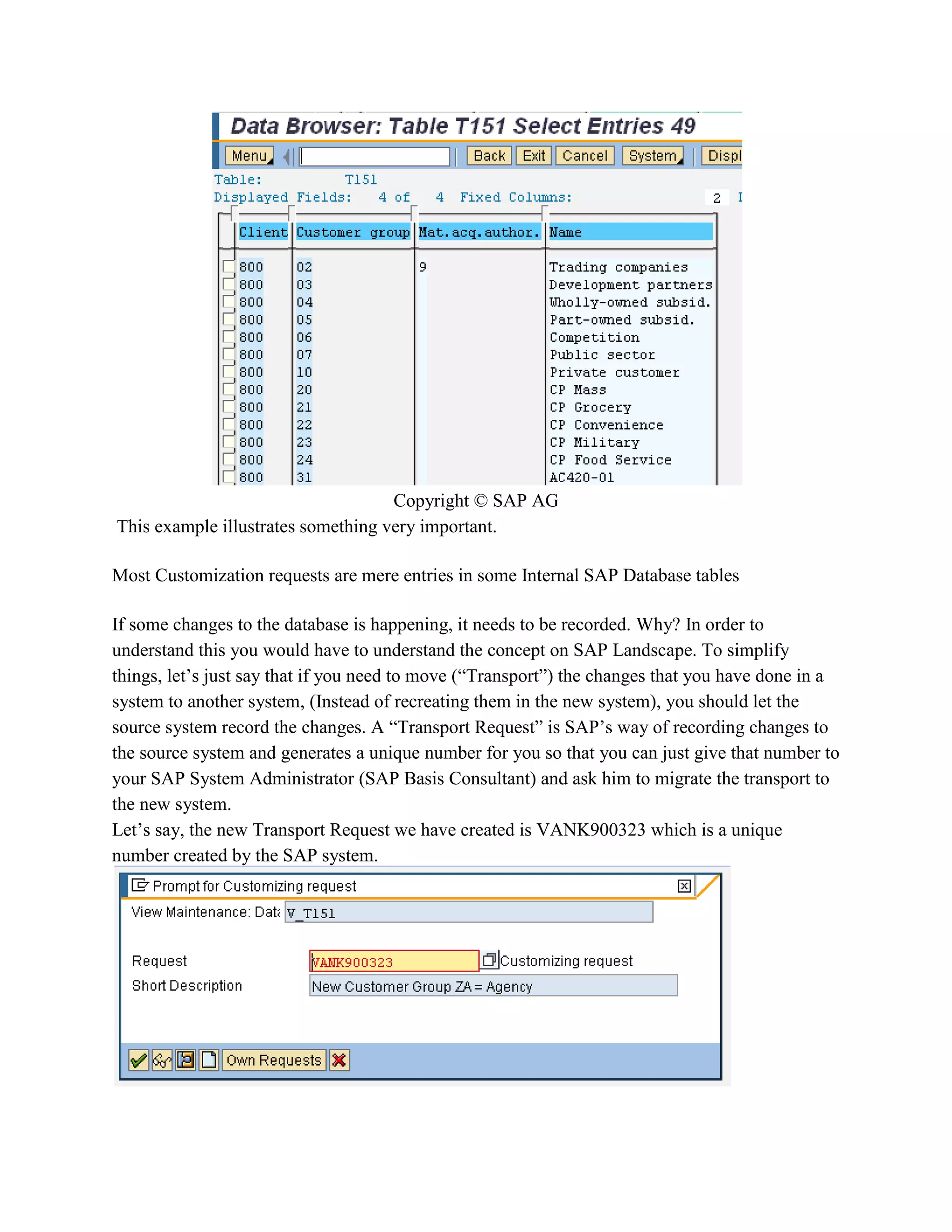 Sap tranport,customization request | DOCX
