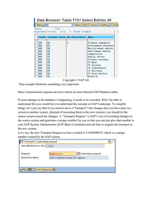 Sap tranport,customization request | DOCX