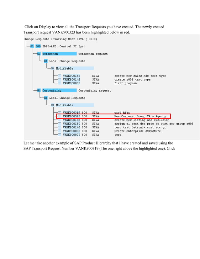 Sap tranport,customization request | DOCX