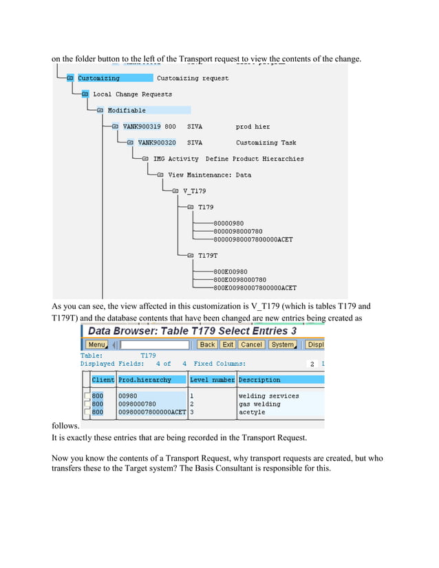 Sap tranport,customization request | DOCX