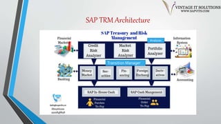 Sap Treasury and Risk Management ppt | PPTX