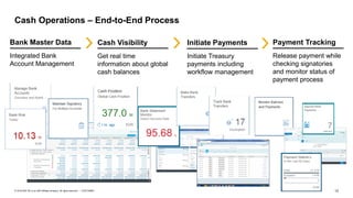 SAP Treasury PPT.pdf