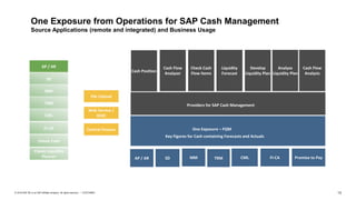 SAP Treasury PPT.pdf