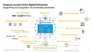 SAP Treasury PPT.pdf