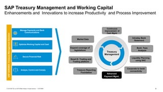 SAP Treasury PPT.pdf