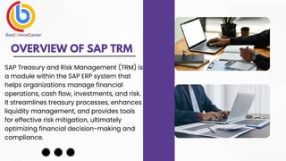 SAP Treasury And Risk Management PPT Submission | PPTX