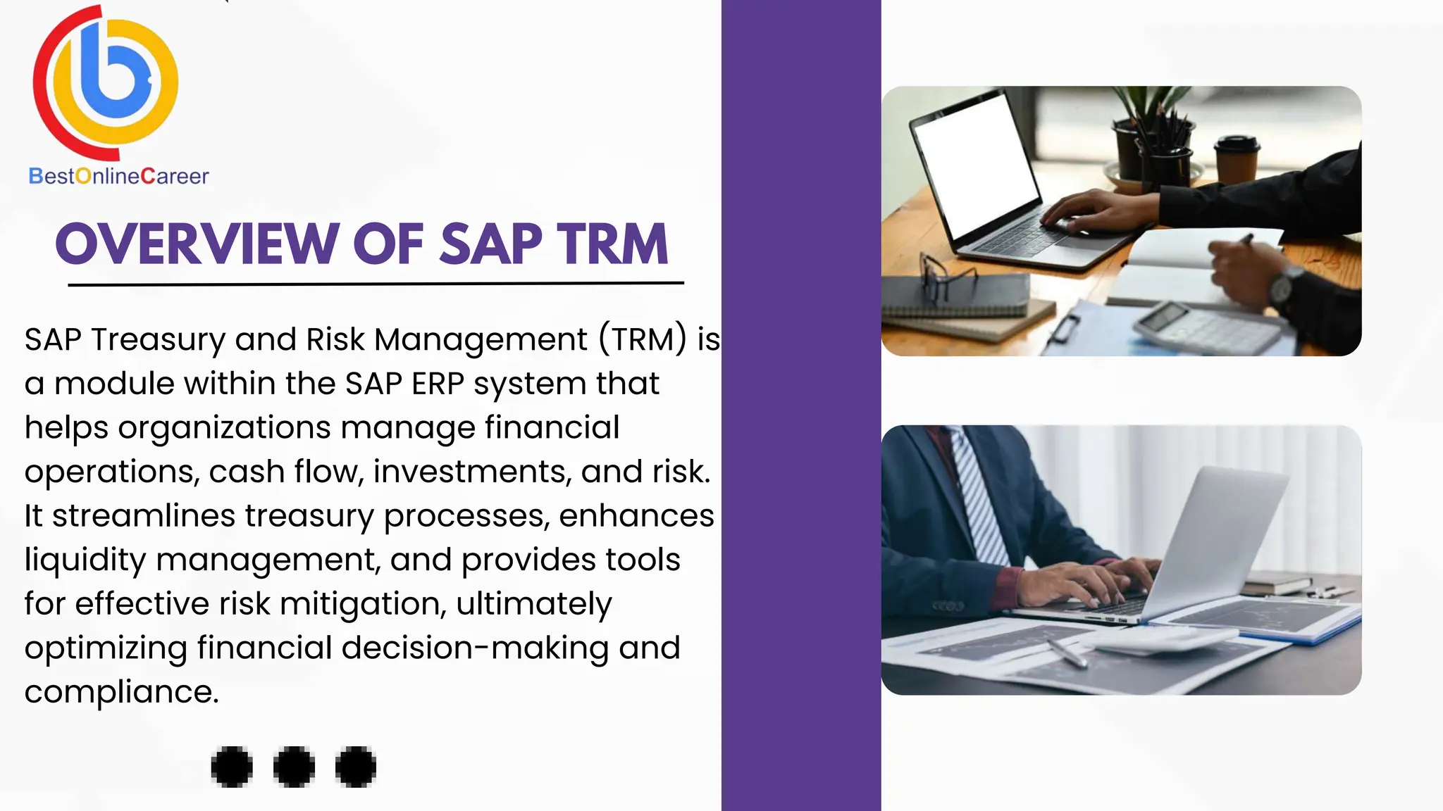 SAP Treasury and Risk Management PPT | PPTX