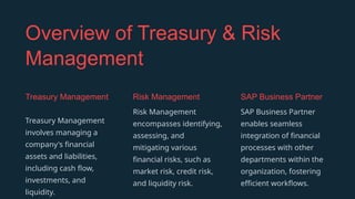 SAP TRM (Treasury and Risk Management) Training PPT | PPTX