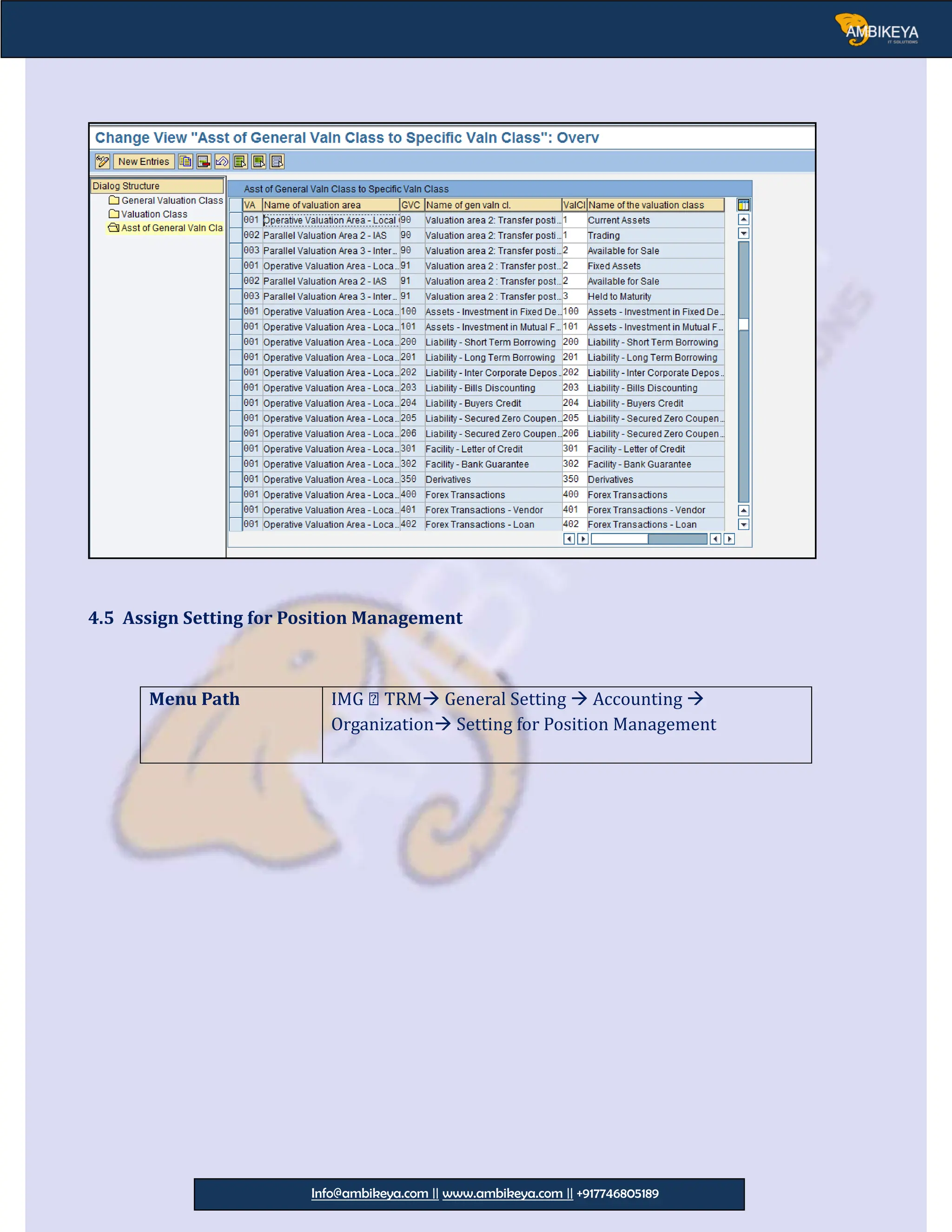 SAP TRM (Treasury and Risk Management) Configuration (1).pdf