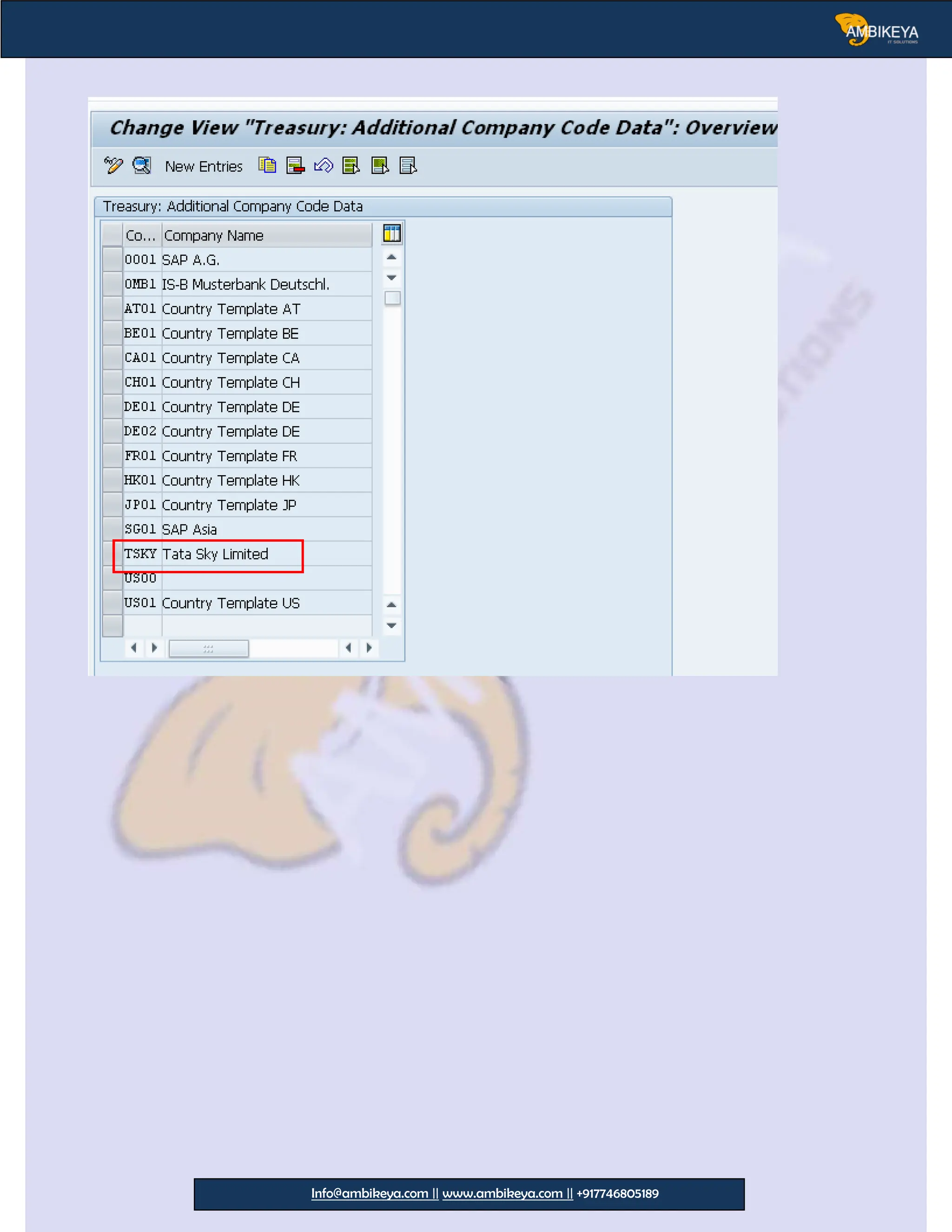 SAP TRM (Treasury and Risk Management) Configuration (1).pdf