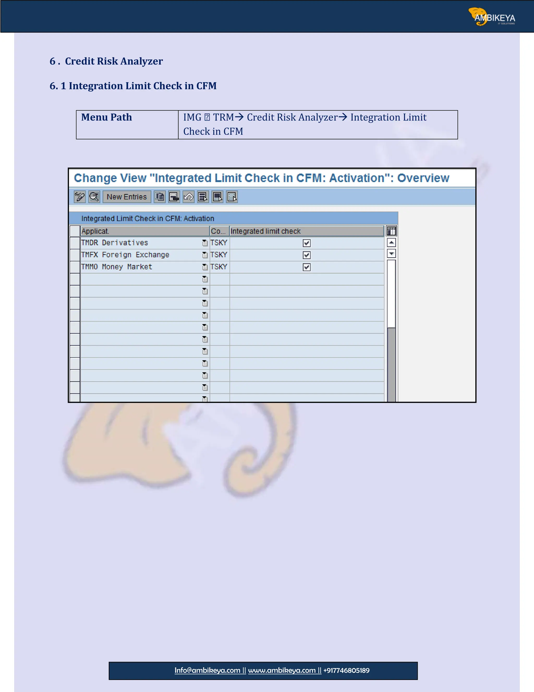 SAP TRM (Treasury and Risk Management) Configuration (1).pdf