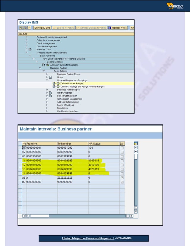 SAP TRM (Treasury and Risk Management) Configuration (1).pdf | Stocks and Bonds | Personal Investing
