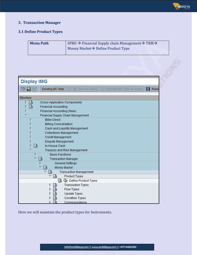SAP TRM (Treasury and Risk Management) Configuration (1).pdf | Stocks and Bonds | Personal Investing