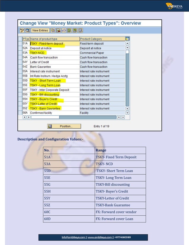 SAP TRM (Treasury and Risk Management) Configuration (1).pdf | Stocks ...