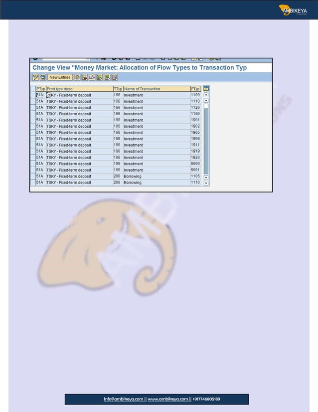 SAP TRM (Treasury and Risk Management) Configuration (1).pdf | Stocks and Bonds | Personal Investing