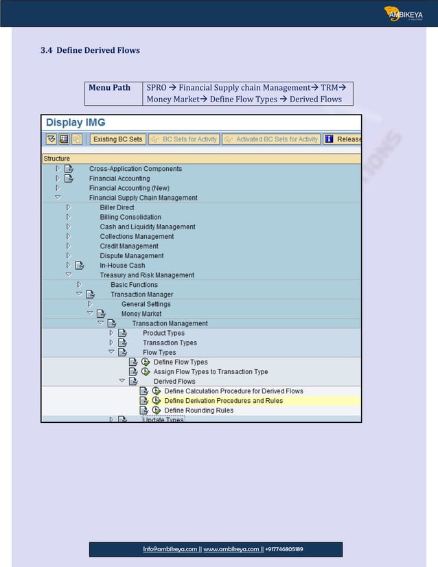 SAP TRM (Treasury and Risk Management) Configuration (1).pdf | Stocks ...