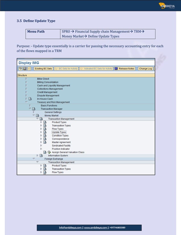 SAP TRM (Treasury and Risk Management) Configuration (1).pdf | Stocks ...