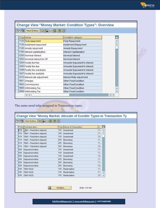 SAP TRM (Treasury and Risk Management) Configuration (1).pdf | Stocks and Bonds | Personal Investing