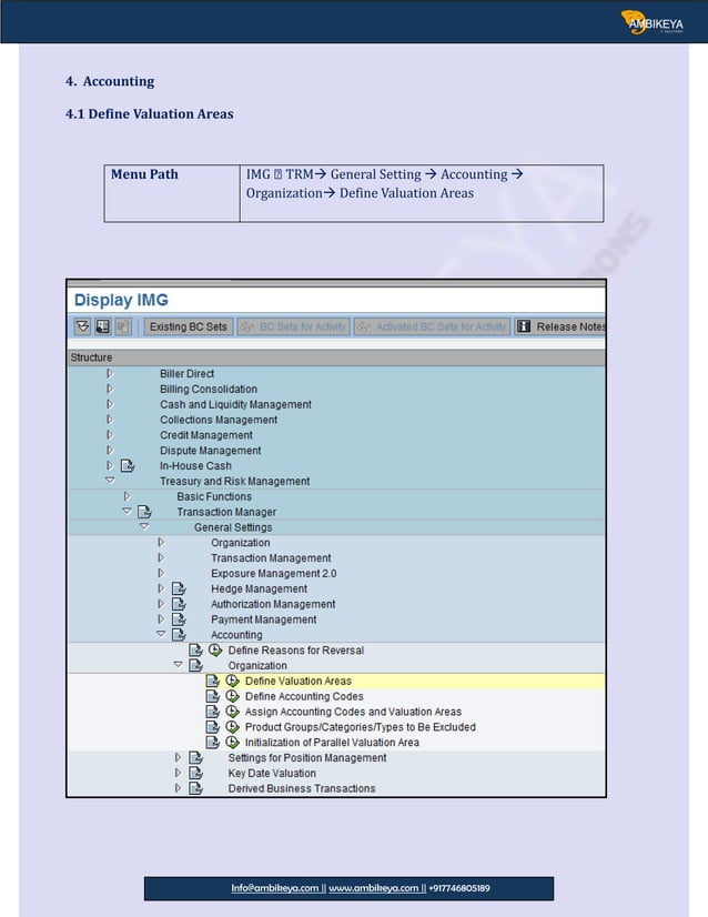 SAP TRM (Treasury and Risk Management) Configuration (1).pdf | Stocks ...