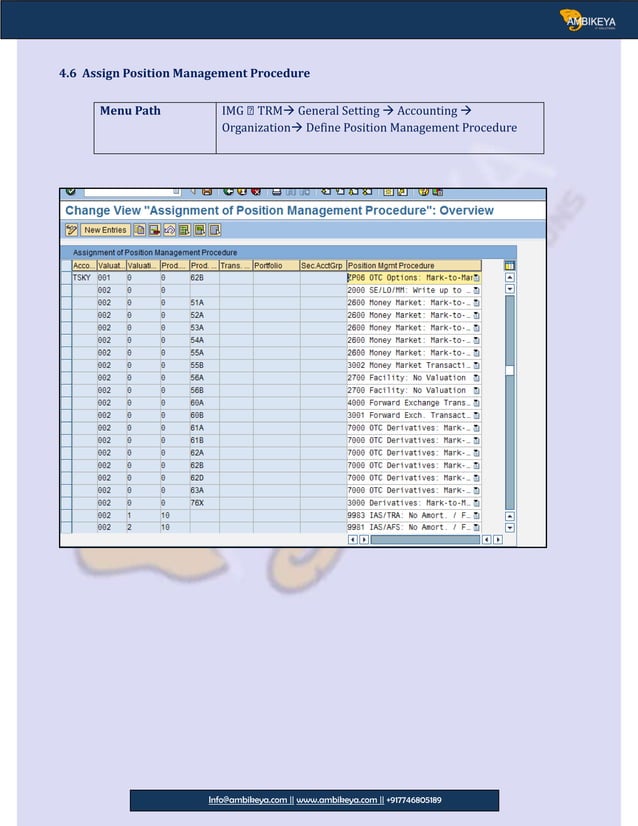 SAP TRM (Treasury and Risk Management) Configuration (1).pdf | Stocks ...