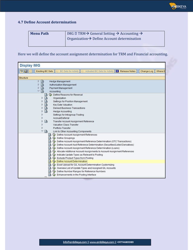 SAP TRM (Treasury and Risk Management) Configuration (1).pdf | Stocks ...