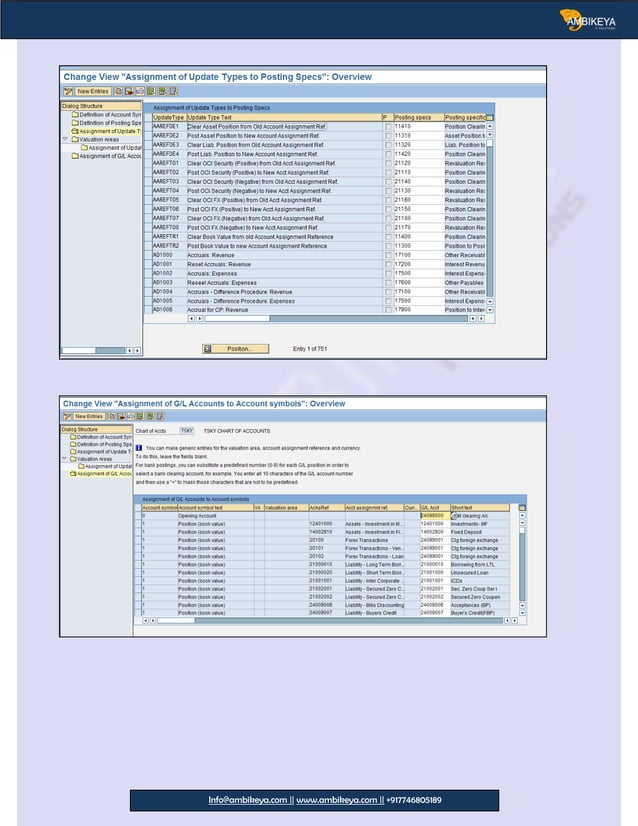 SAP TRM (Treasury and Risk Management) Configuration (1).pdf | Stocks and Bonds | Personal Investing