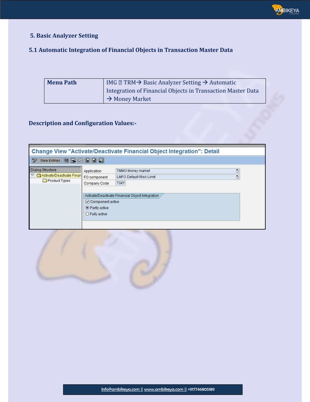 SAP TRM (Treasury and Risk Management) Configuration (1).pdf | Stocks ...