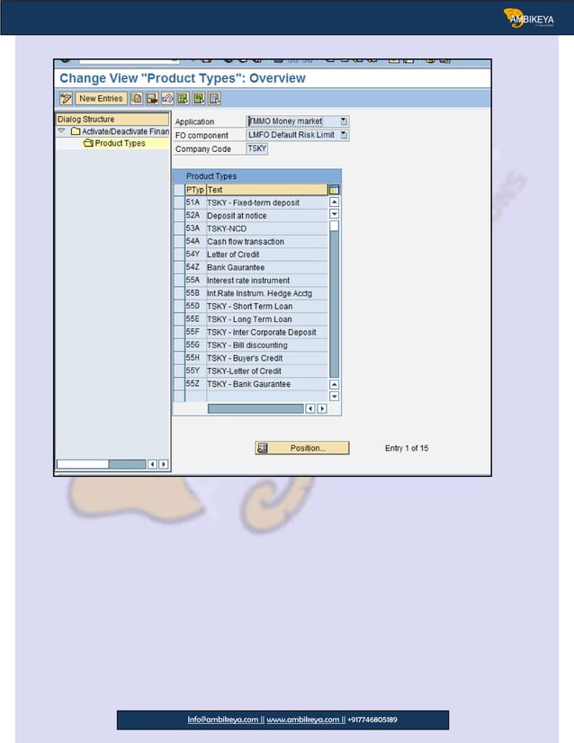 SAP TRM (Treasury and Risk Management) Configuration (1).pdf | Stocks and Bonds | Personal Investing