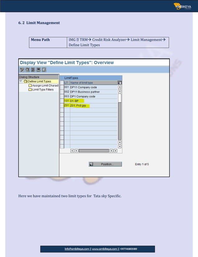 SAP TRM (Treasury and Risk Management) Configuration (1).pdf | Stocks ...