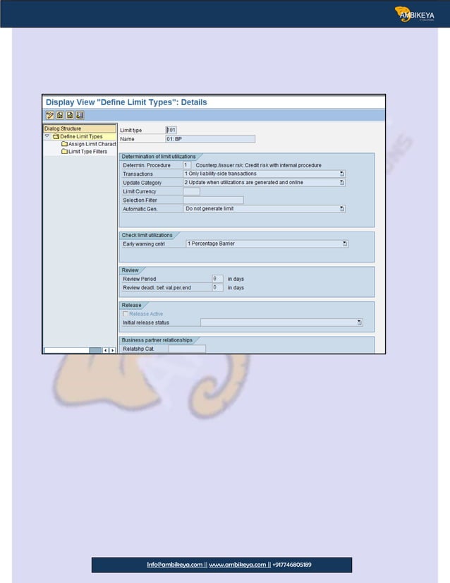 SAP TRM (Treasury and Risk Management) Configuration (1).pdf | Stocks and Bonds | Personal Investing