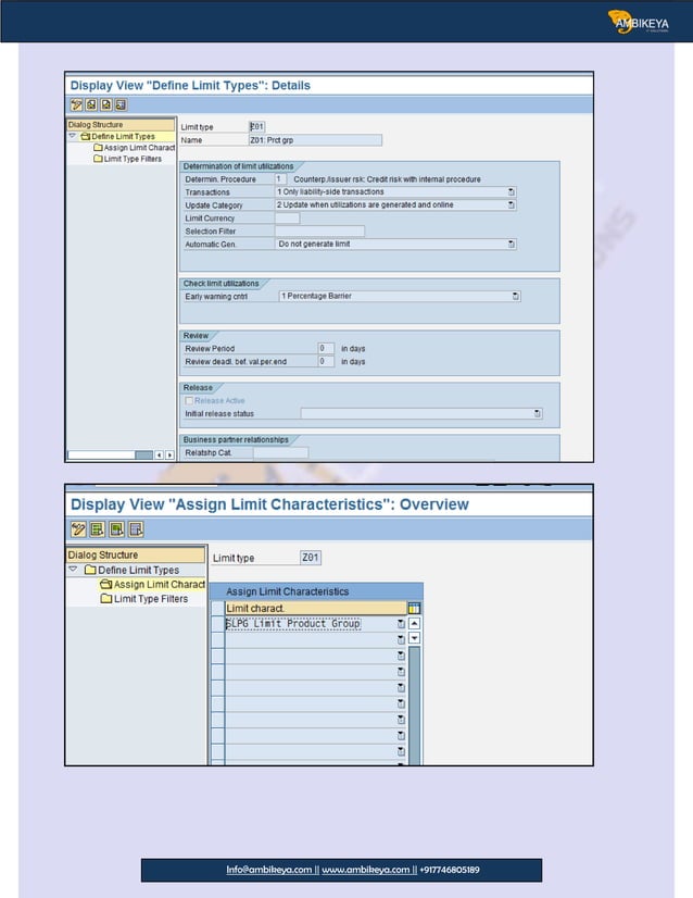SAP TRM (Treasury and Risk Management) Configuration (1).pdf | Stocks ...