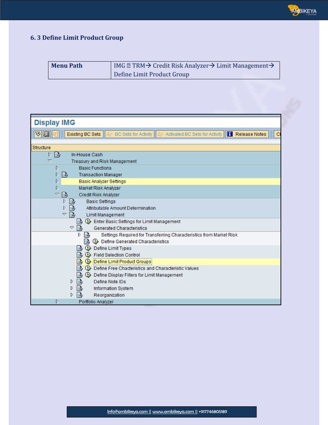 SAP TRM (Treasury and Risk Management) Configuration (1).pdf | Stocks ...