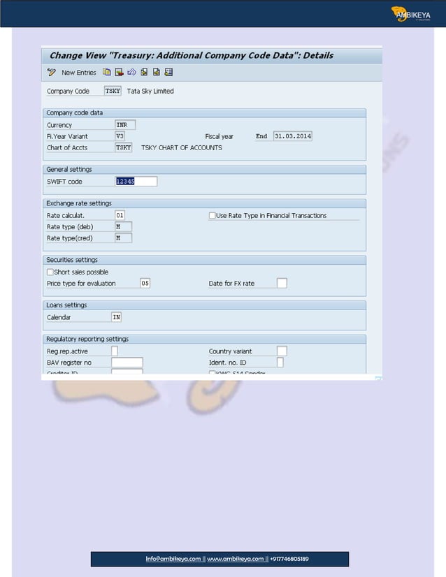 SAP TRM (Treasury and Risk Management) Configuration (1).pdf | Stocks and Bonds | Personal Investing