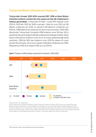 SAP Turkey Economic Impact Assessment | PDF