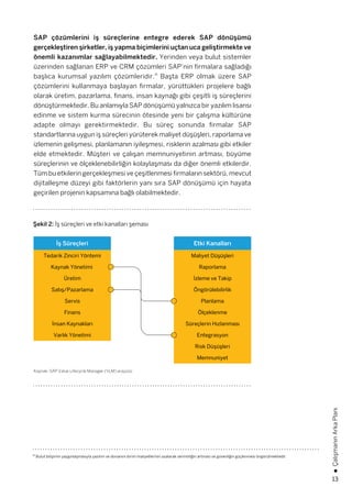 SAP Turkey Economic Impact Assessment | PDF