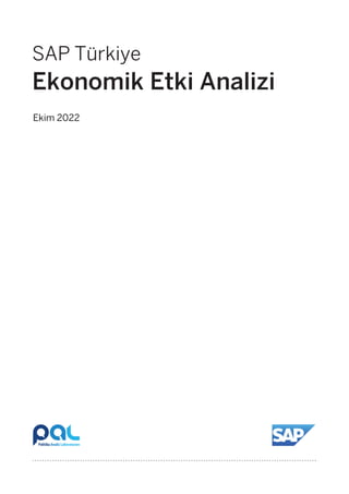 SAP Turkey Economic Impact Assessment | PDF