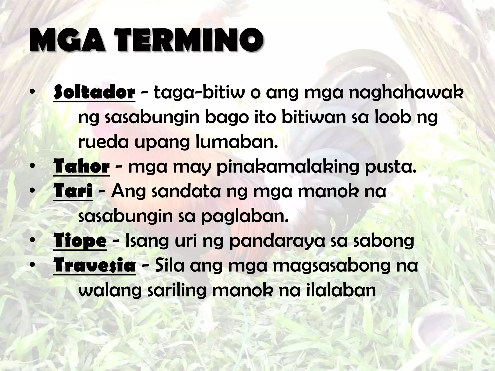 Sabong | PPTX