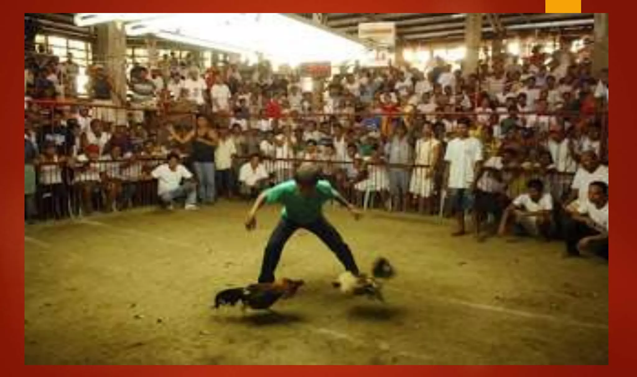 Filipino 8 Sa Pula, Sa Puti | PPTX