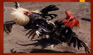 Filipino 8 Sa Pula, Sa Puti | PPT