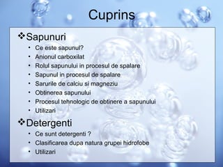 Prezentare chimie sapunuri si detergenti | PDF