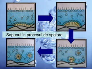 Prezentare chimie sapunuri si detergenti | PDF