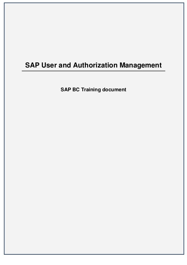 Sap User And Authorization Management