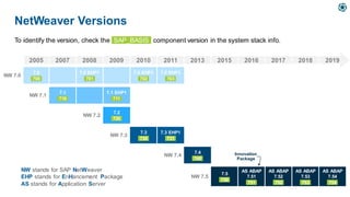 Deep Dive into SAP Versions | PDF
